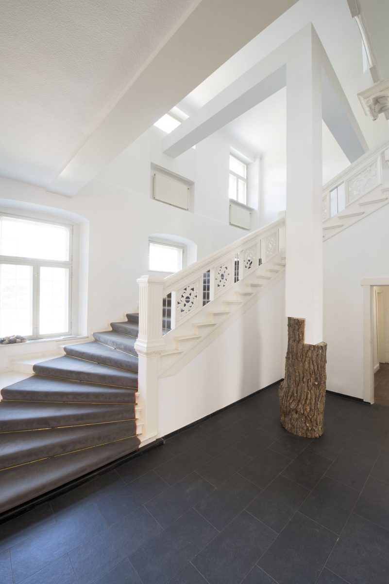 Till Richter Museum – Art Viewer