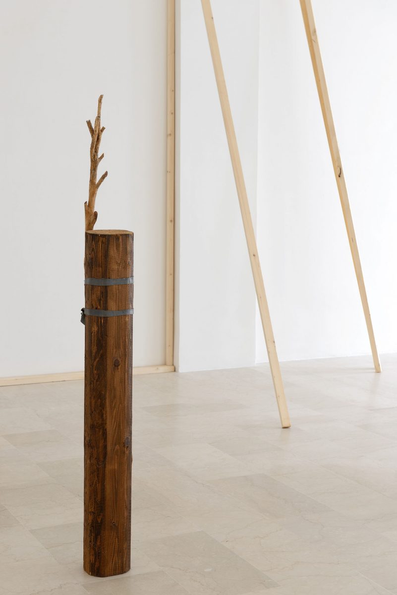 Paolo Icaro at P420 – Art Viewer