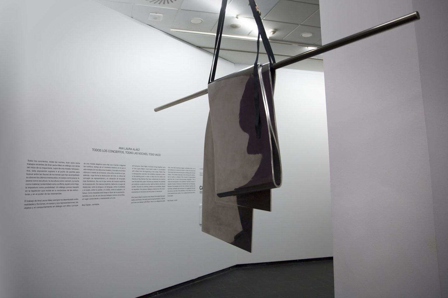 Ana Laura Aláez at CA2M Centro de Arte dos de Mayo – Art Viewer