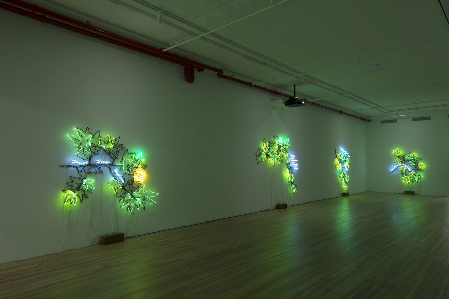 Andrea Bowers at Andrew Kreps Gallery – Art Viewer