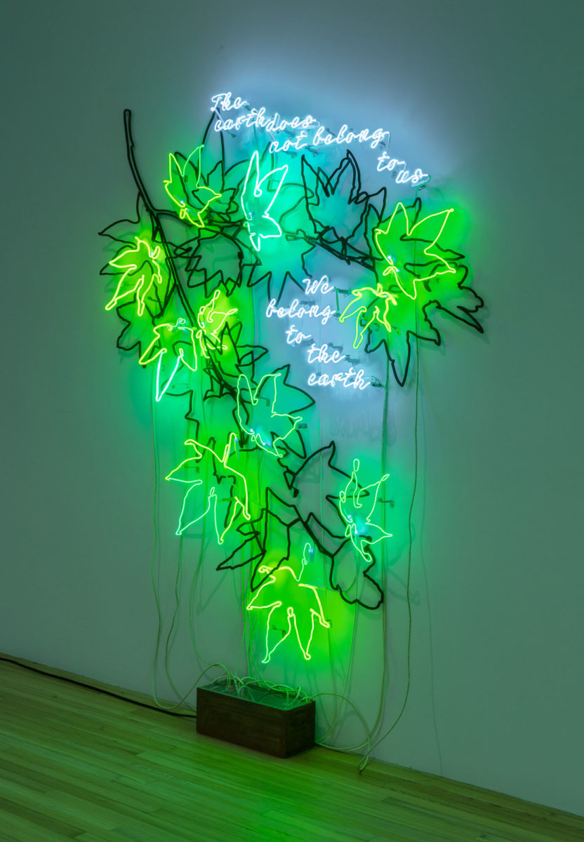 Andrea Bowers – Art Viewer