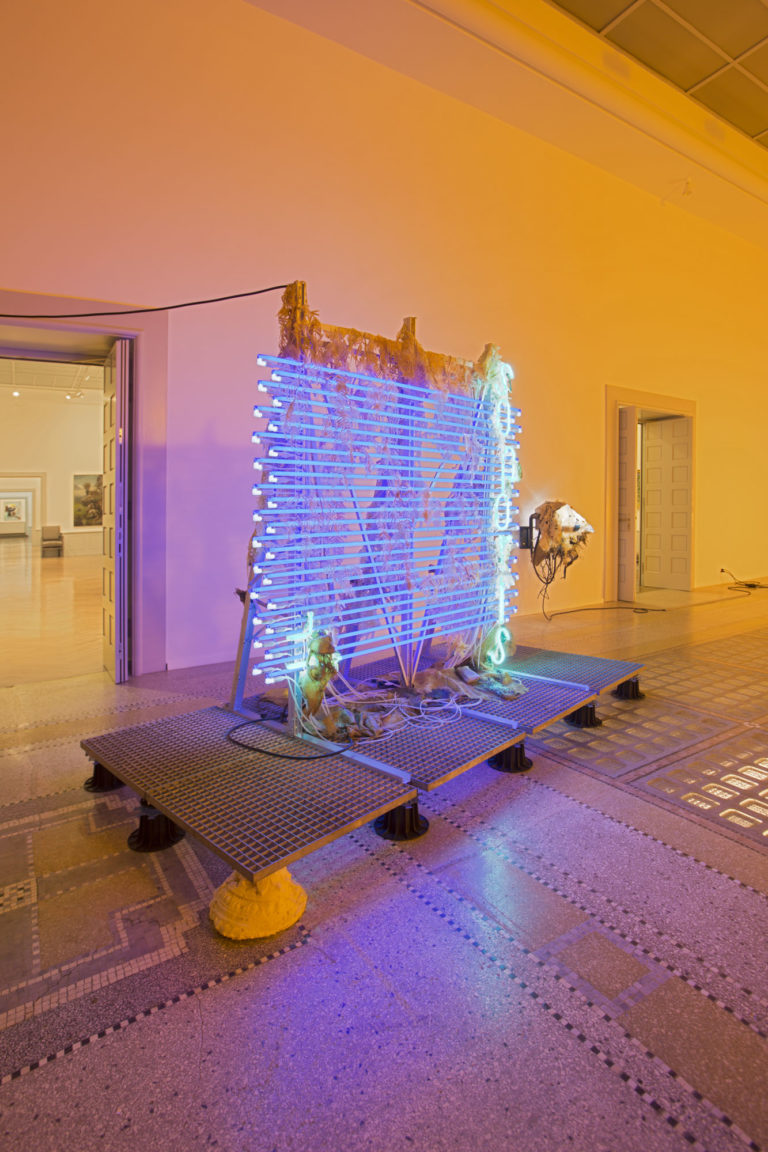 Chloé Delarue at La Chaux-de-Fonds Museum of Fine Art – Art Viewer