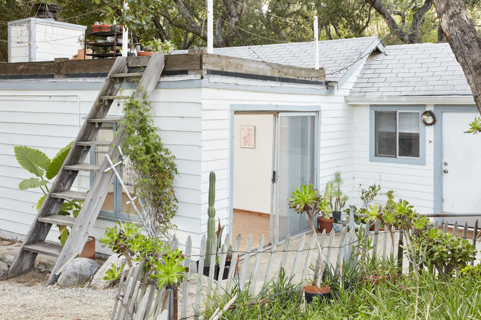 David Muenzer at Jan Weenix Gallery – Art Viewer