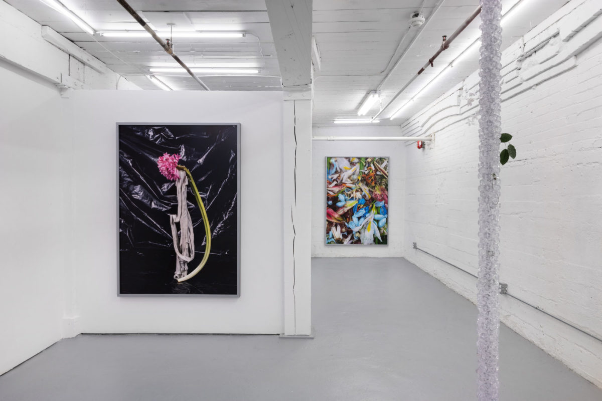 Michelle Bui at Franz Kaka – Art Viewer