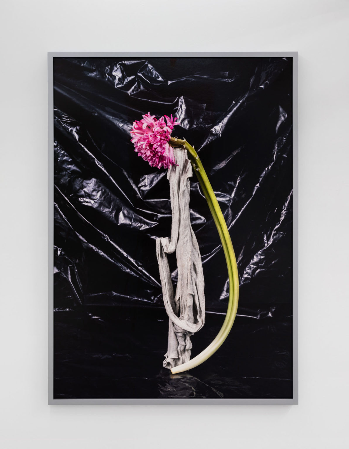 Michelle Bui at Franz Kaka – Art Viewer