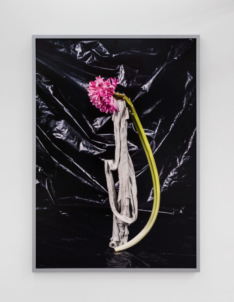 Michelle Bui at Franz Kaka – Art Viewer