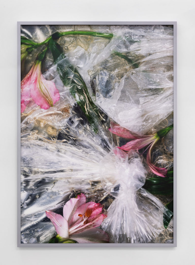 Michelle Bui at Franz Kaka – Art Viewer