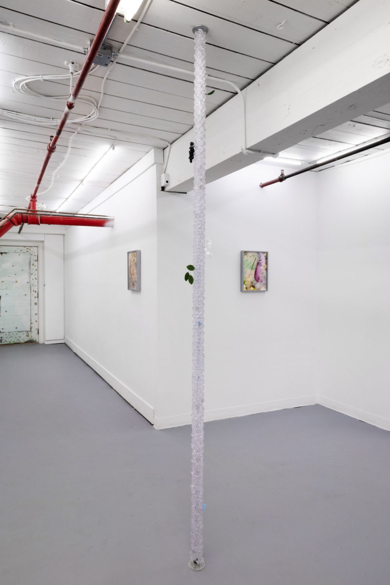 Michelle Bui at Franz Kaka – Art Viewer