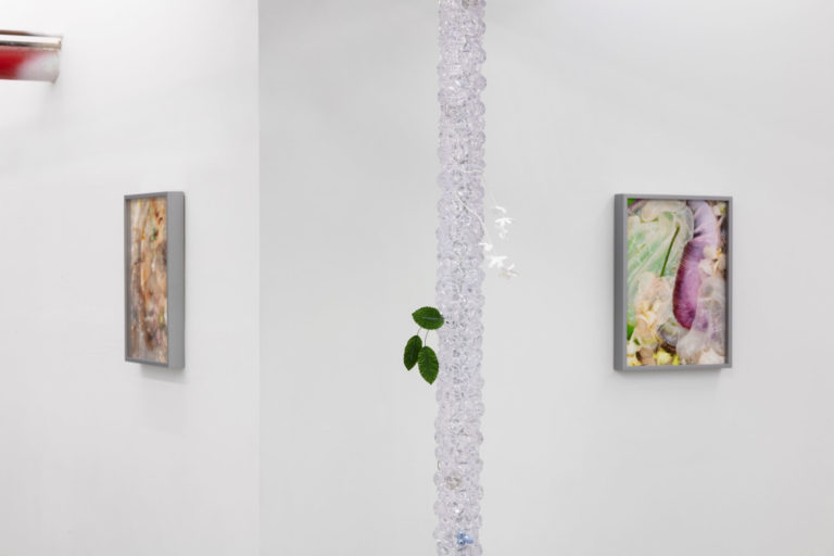 Michelle Bui at Franz Kaka – Art Viewer