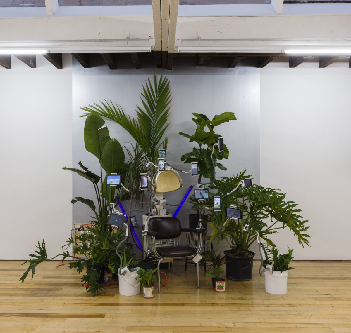 Futuro Modular at Rachel Uffner Gallery – Art Viewer