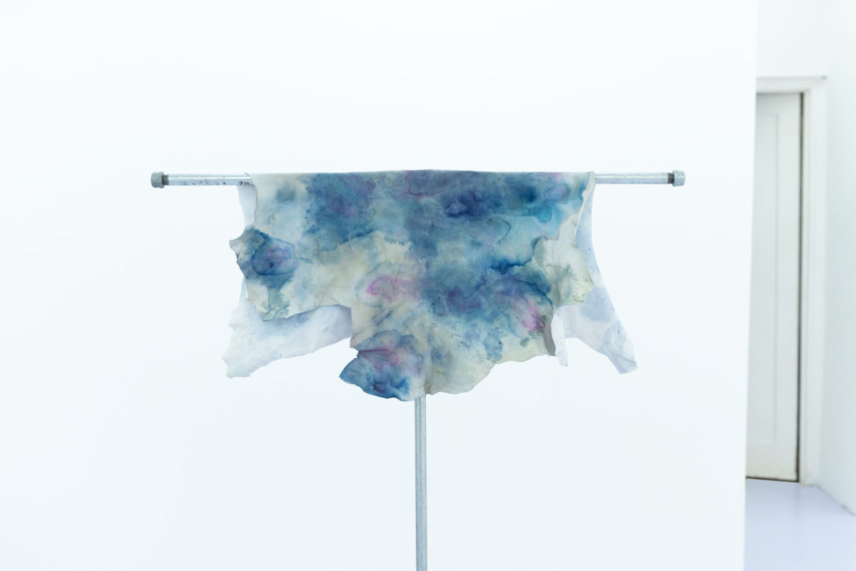 Quay Quinn Wolf at Jack Barrett – Art Viewer