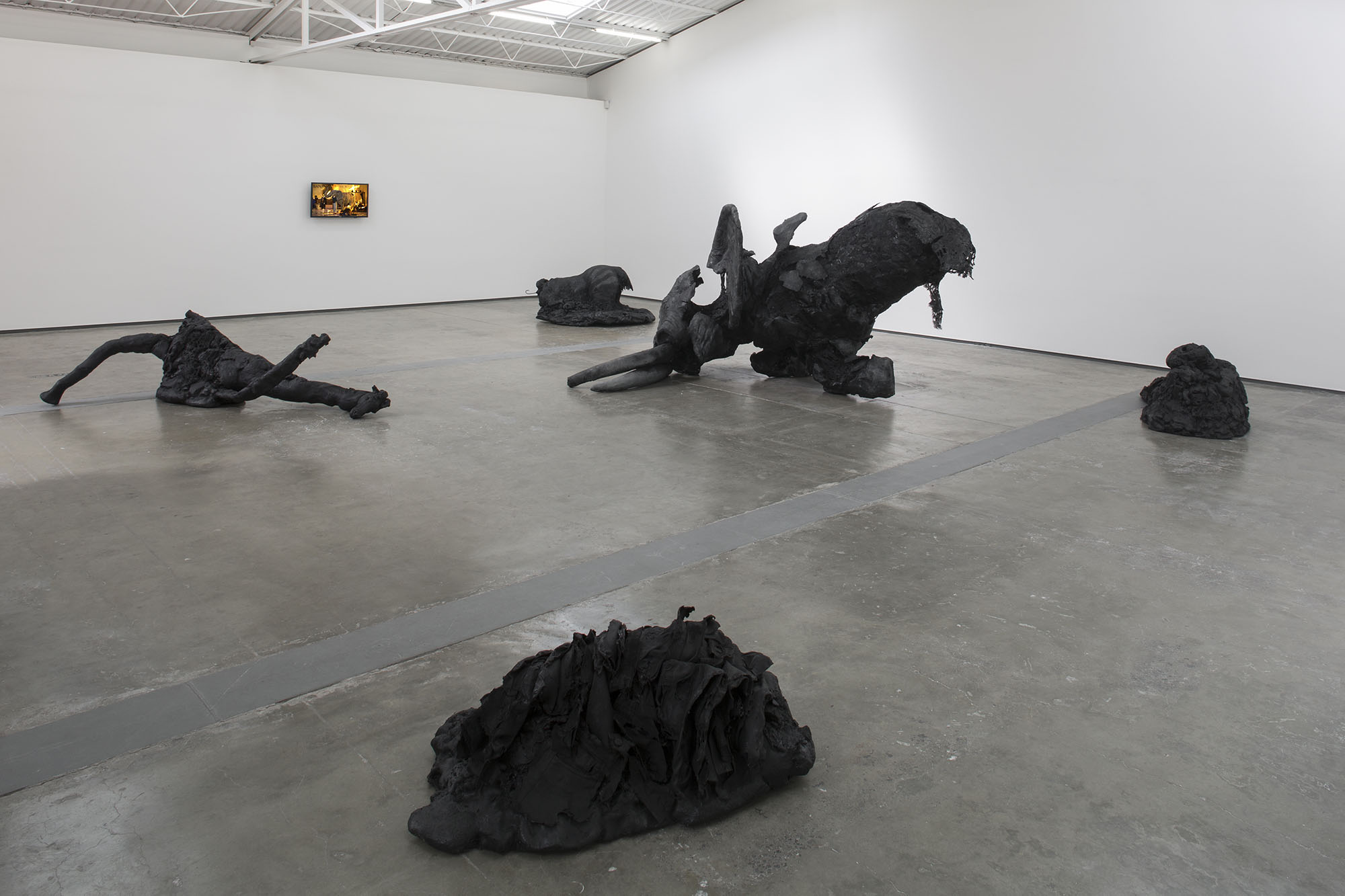 Yoshua Okón at Proyectos Monclova – Art Viewer