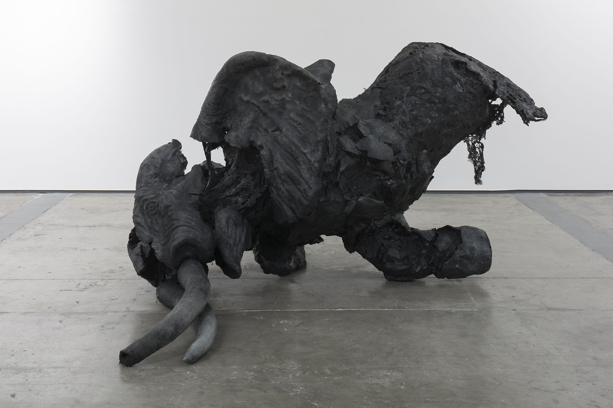 Yoshua Okón at Proyectos Monclova – Art Viewer