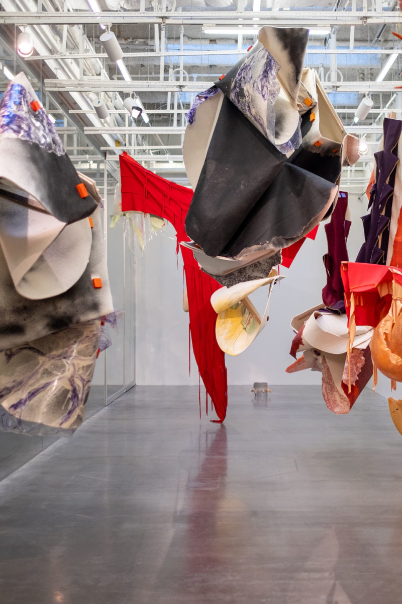 Daiga Grantina at New Museum – Art Viewer