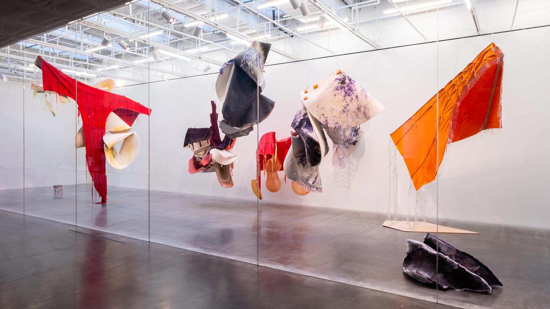 Daiga Grantina at New Museum – Art Viewer