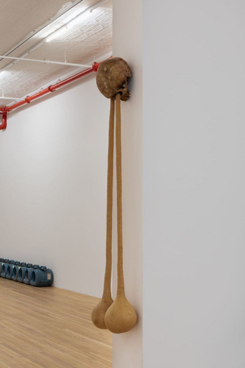 Michael E. Smith at Andrew Kreps Gallery – Art Viewer