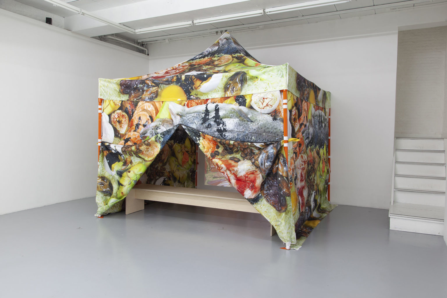 Sheida Soleimani at Harlan Levey Projects – Art Viewer