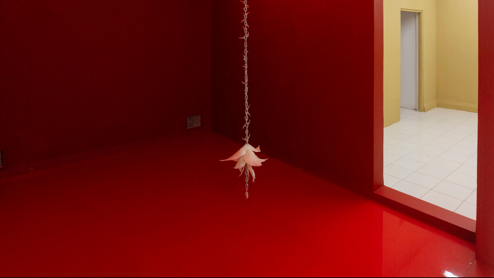 ASMA and Irgin Sena at Embajada – Art Viewer