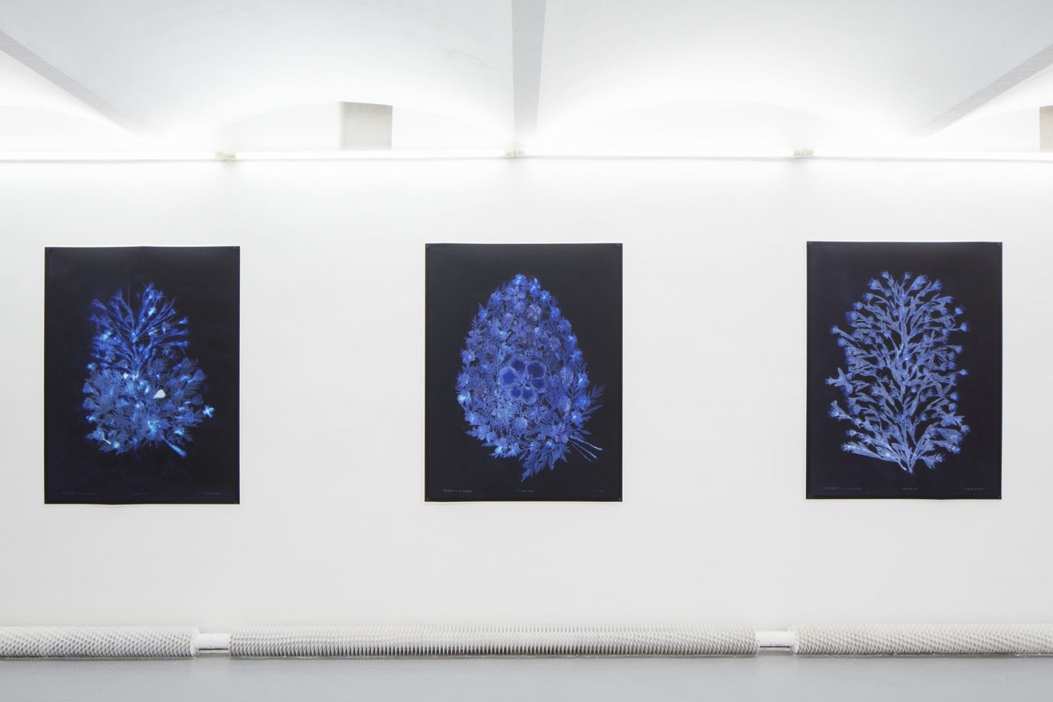 Dor Guez at Futura – Art Viewer