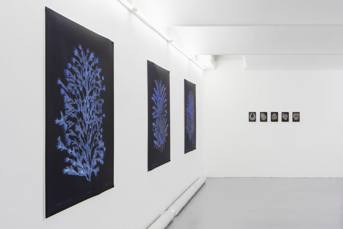 Dor Guez at Futura – Art Viewer