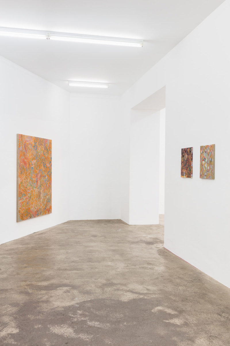 Anna Schachinger at Sophie Tappeiner – Art Viewer