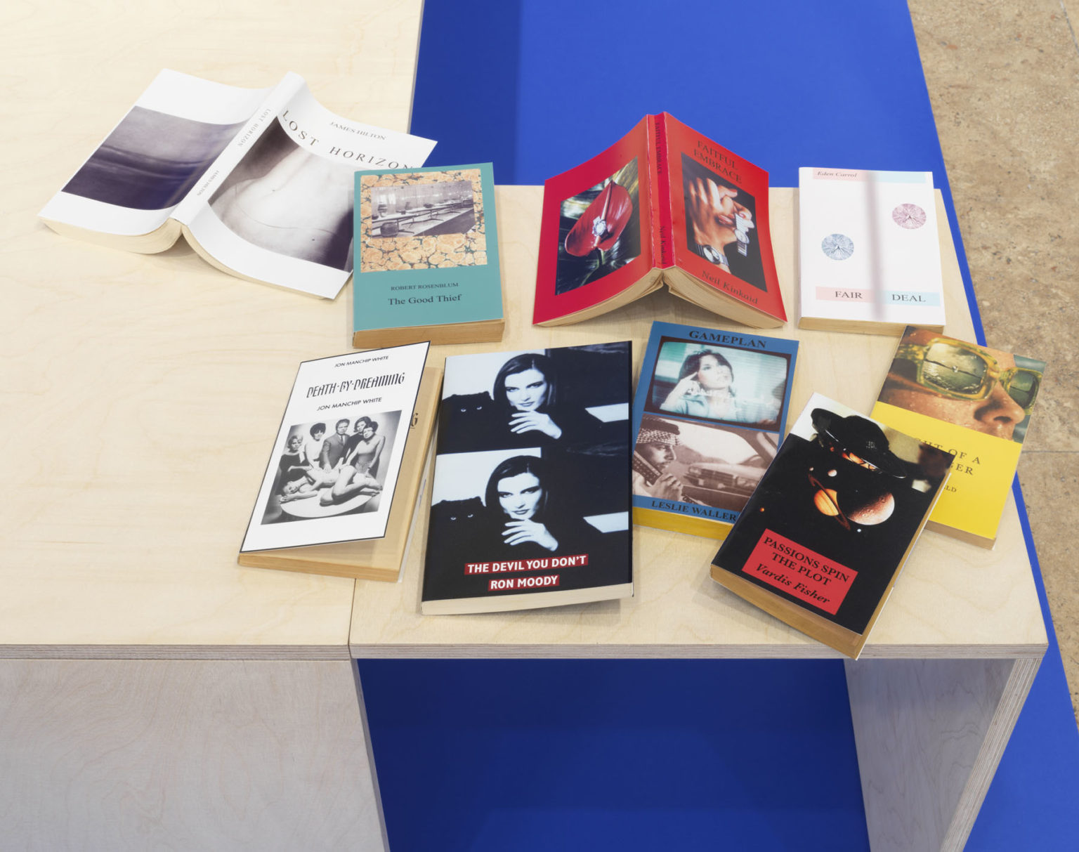 Barbara Bloom at Capitain Petzel – Art Viewer
