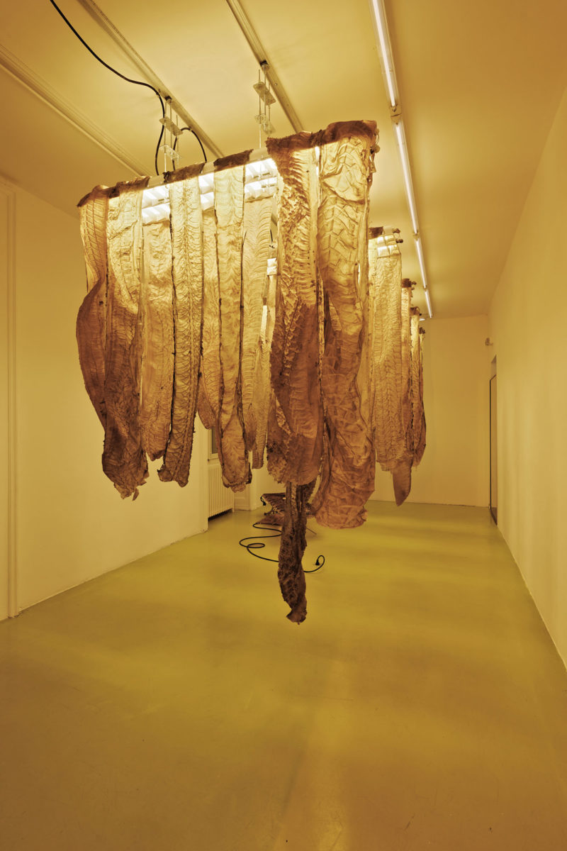 Chloé Delarue at Villa du Parc Centre d’art contemporain – Art Viewer