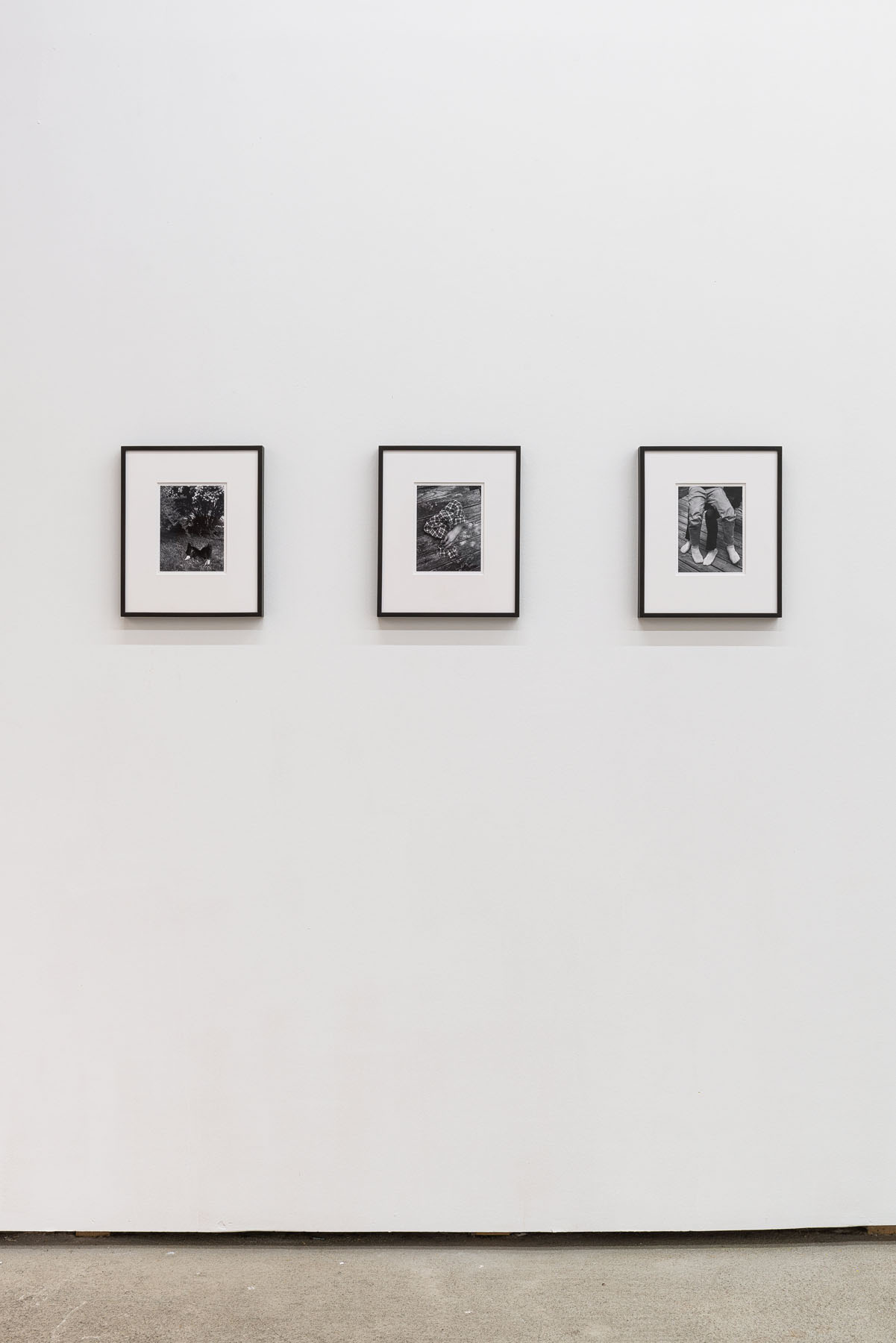 Ivana Basic – Art Viewer