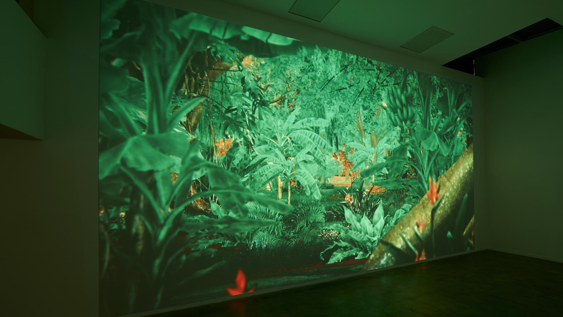 Danielle Dean at 1646 – Art Viewer