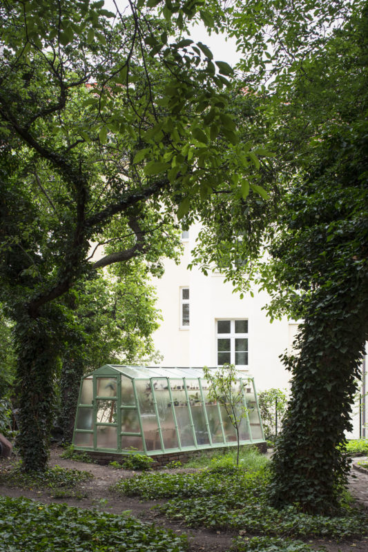 Hairy earthtongue, weeping toothcrust, fairy rings at Futura – Art Viewer