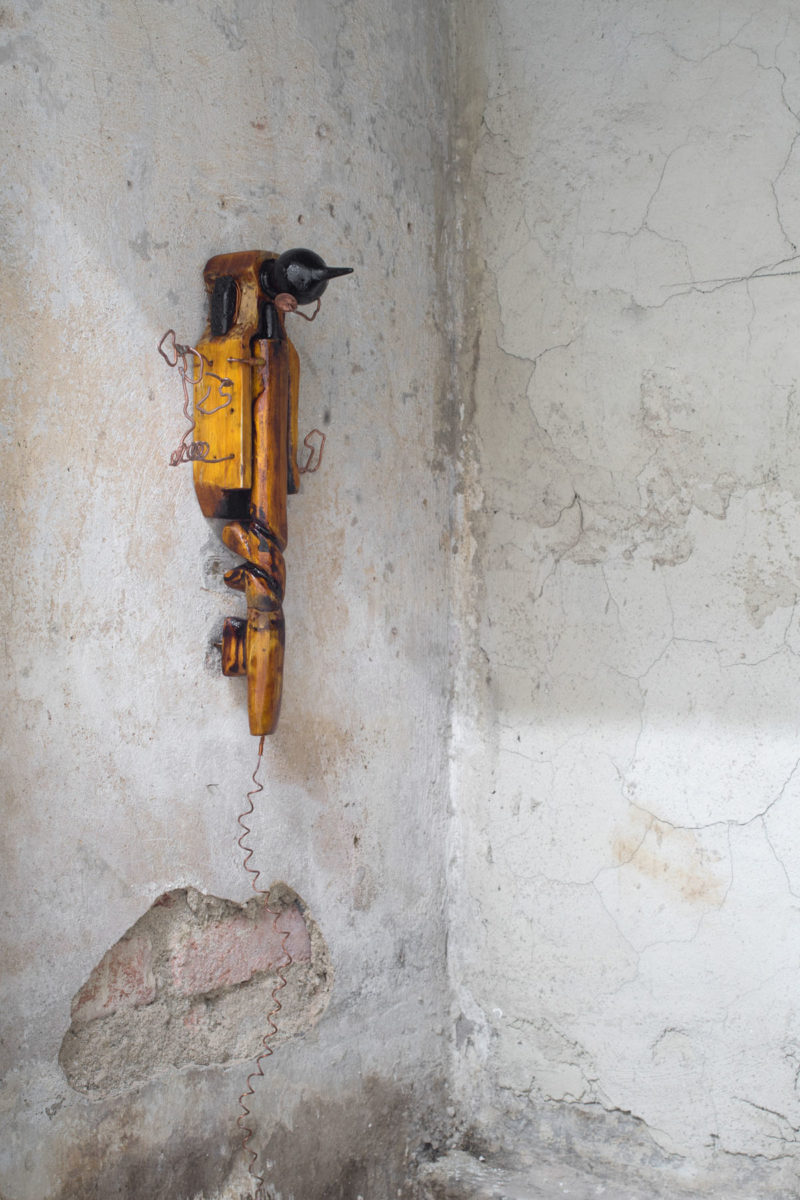 Hairy earthtongue, weeping toothcrust, fairy rings at Futura – Art Viewer