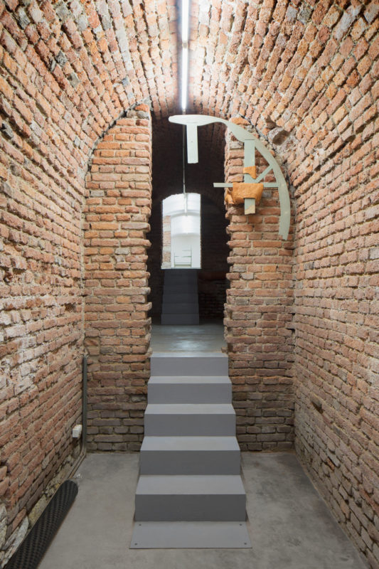 Hairy earthtongue, weeping toothcrust, fairy rings at Futura – Art Viewer