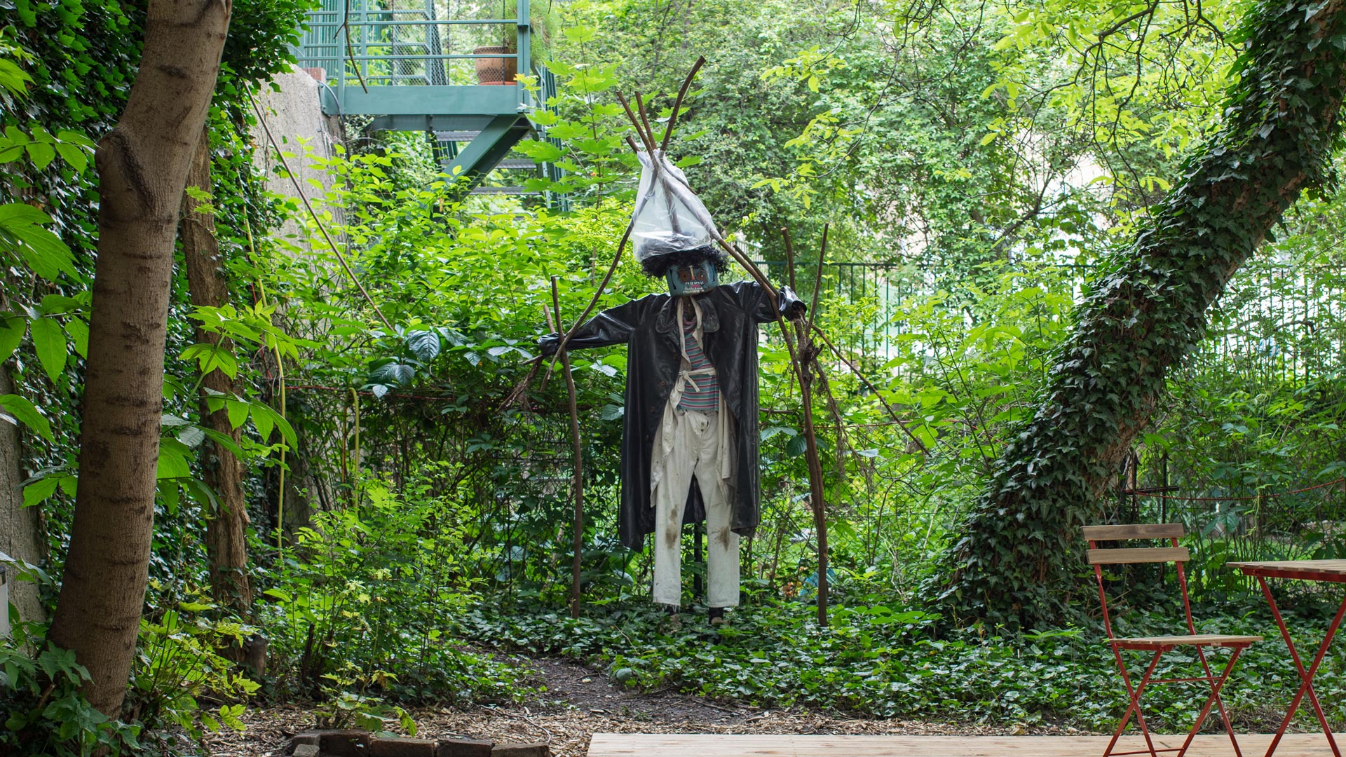 Hairy earthtongue, weeping toothcrust, fairy rings at Futura – Art Viewer