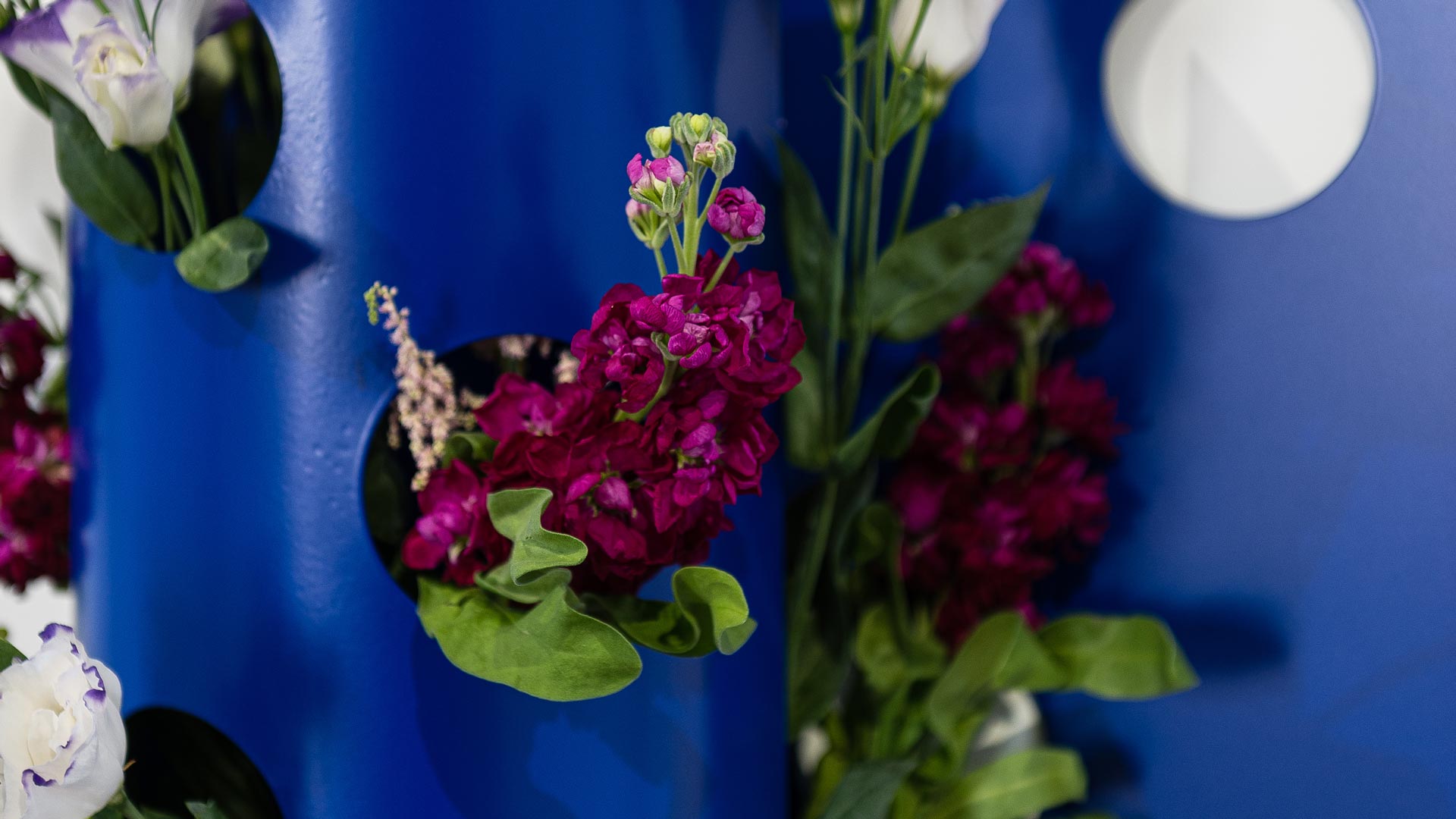 Justin Morin at Galerie Derouillon – Art Viewer