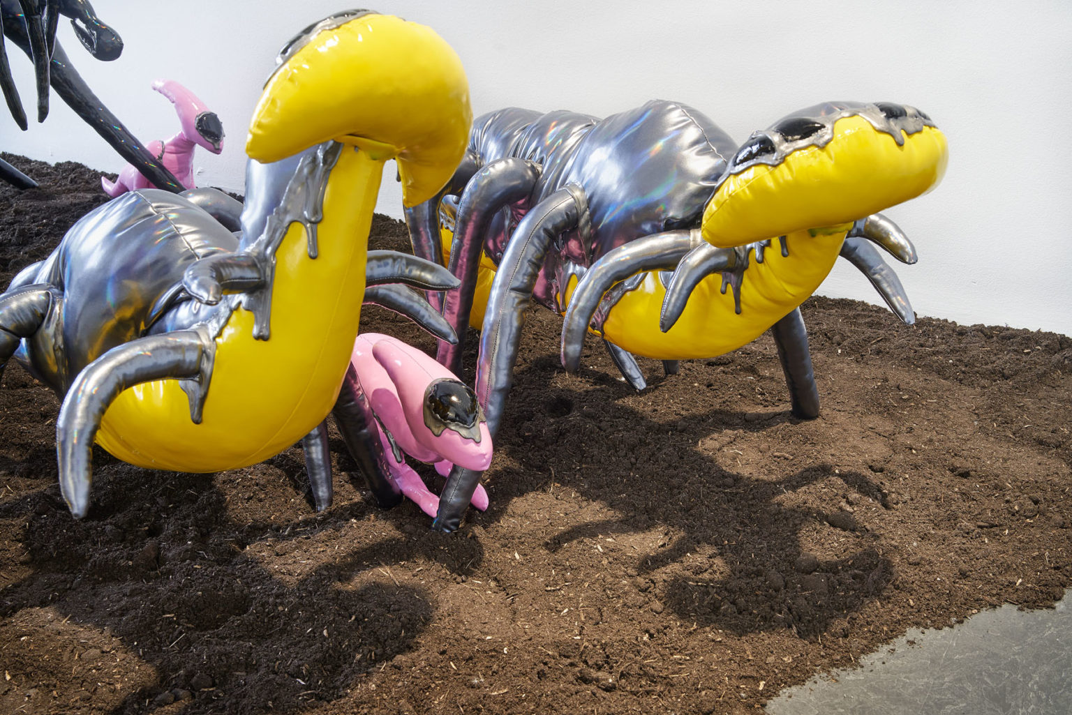 Mary-Audrey Ramirez at Dortmunder Kunstverein – Art Viewer