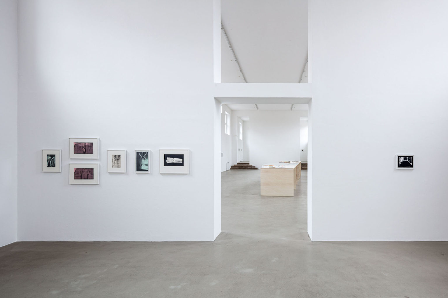 Pati Hill at Kunstverein München – Art Viewer