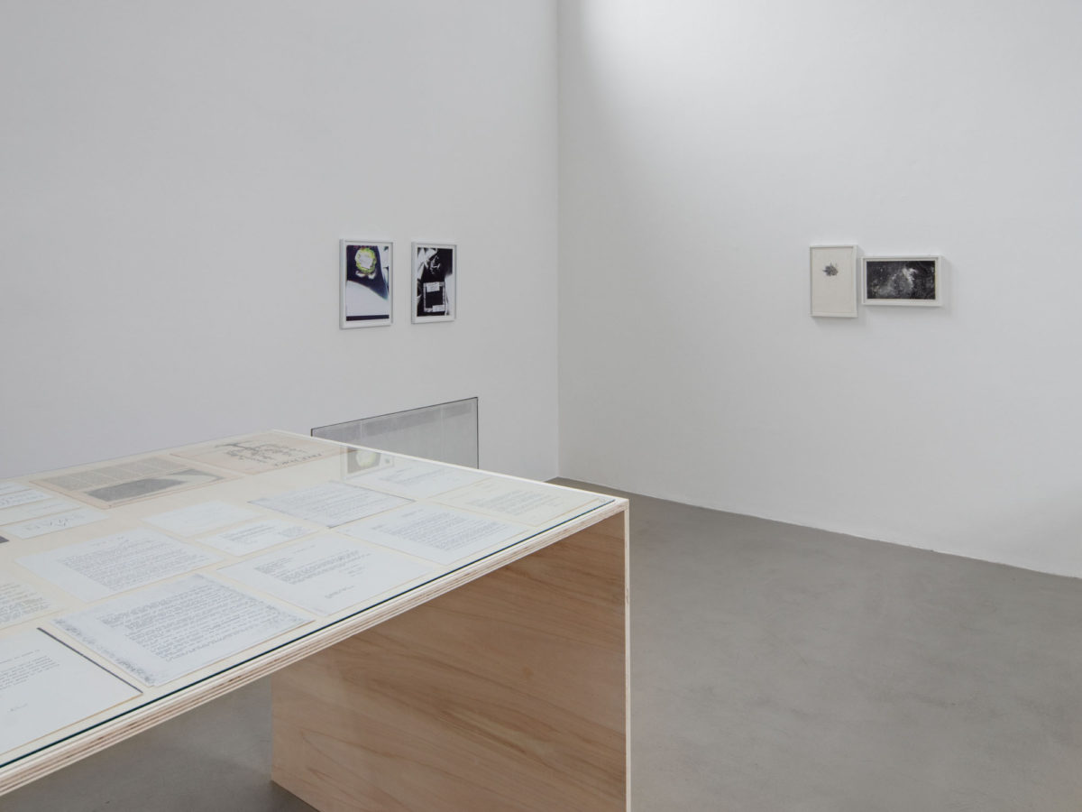 Pati Hill at Kunstverein München – Art Viewer