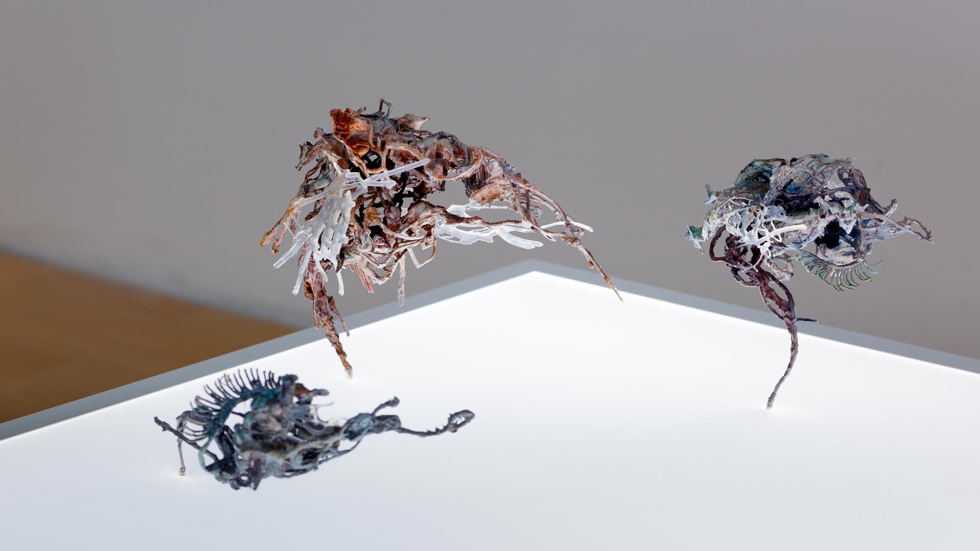Yein Lee & Ivan Pérard at Loggia – Art Viewer
