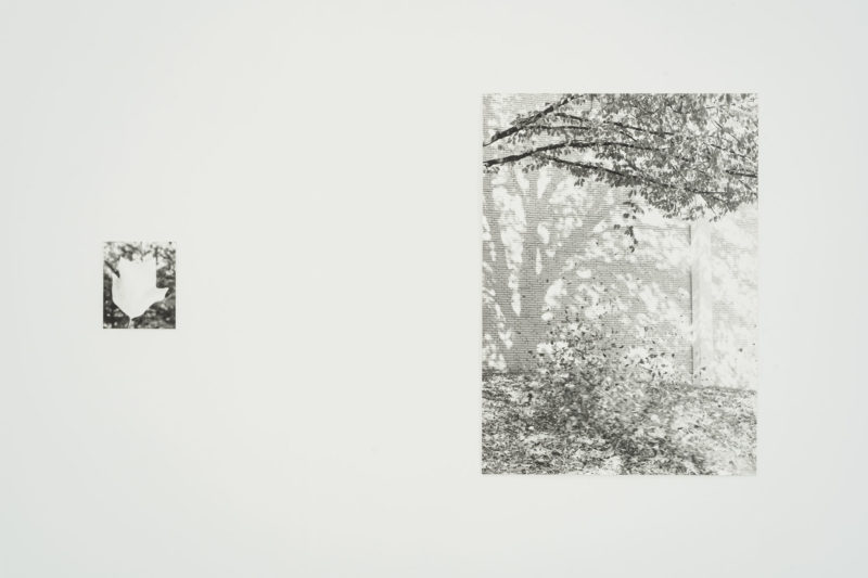 Jochen Lempert at Contemporary Art Centre – Art Viewer