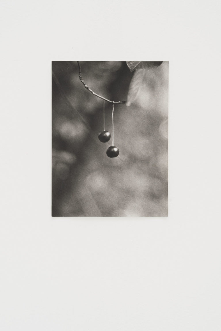 Jochen Lempert at Contemporary Art Centre – Art Viewer