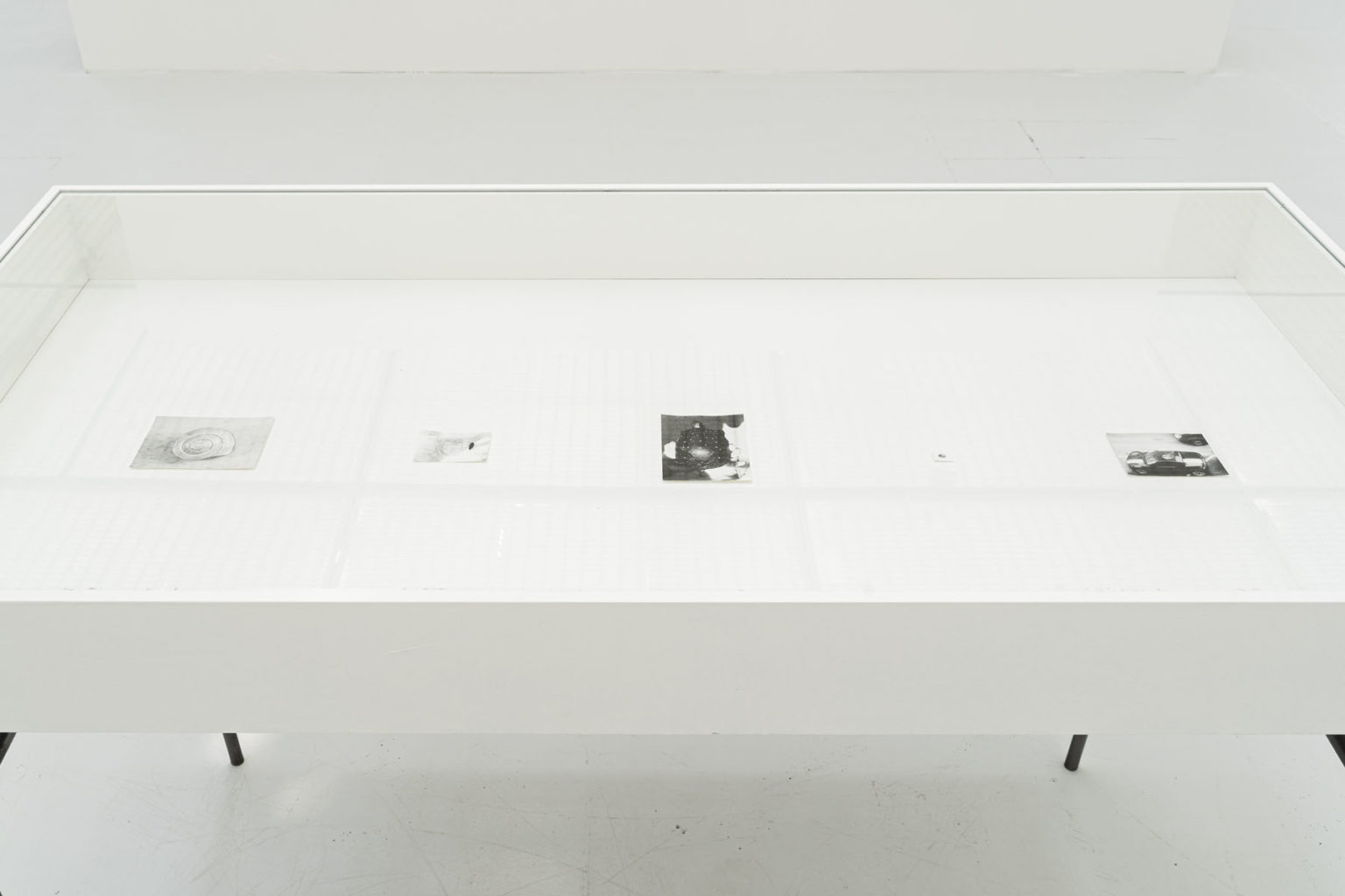 Jochen Lempert at Contemporary Art Centre – Art Viewer