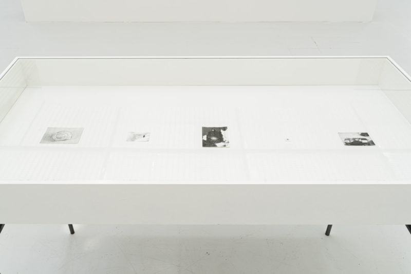 Jochen Lempert at Contemporary Art Centre – Art Viewer