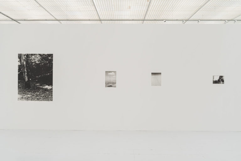 Jochen Lempert at Contemporary Art Centre – Art Viewer