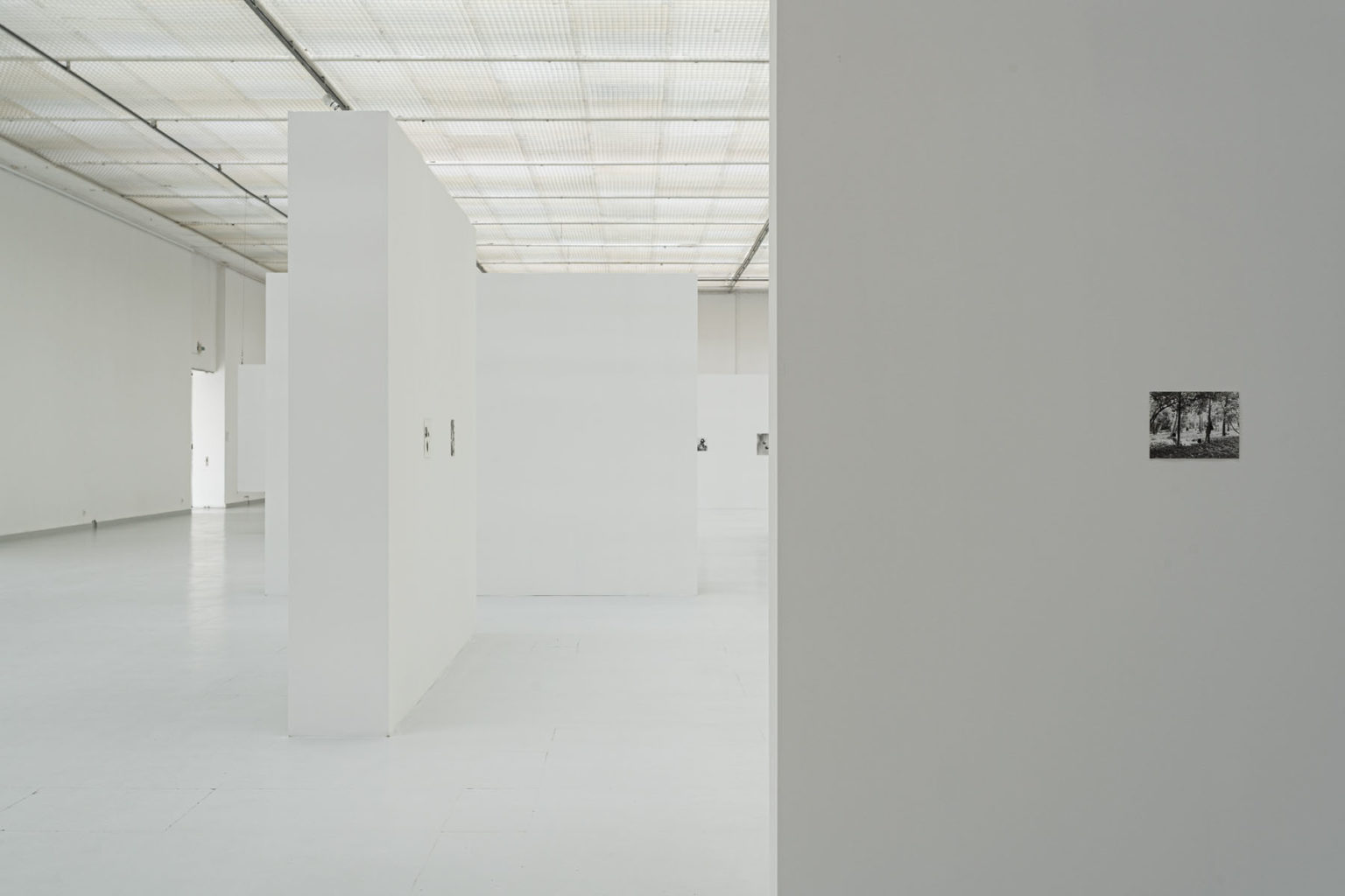 Jochen Lempert at Contemporary Art Centre – Art Viewer