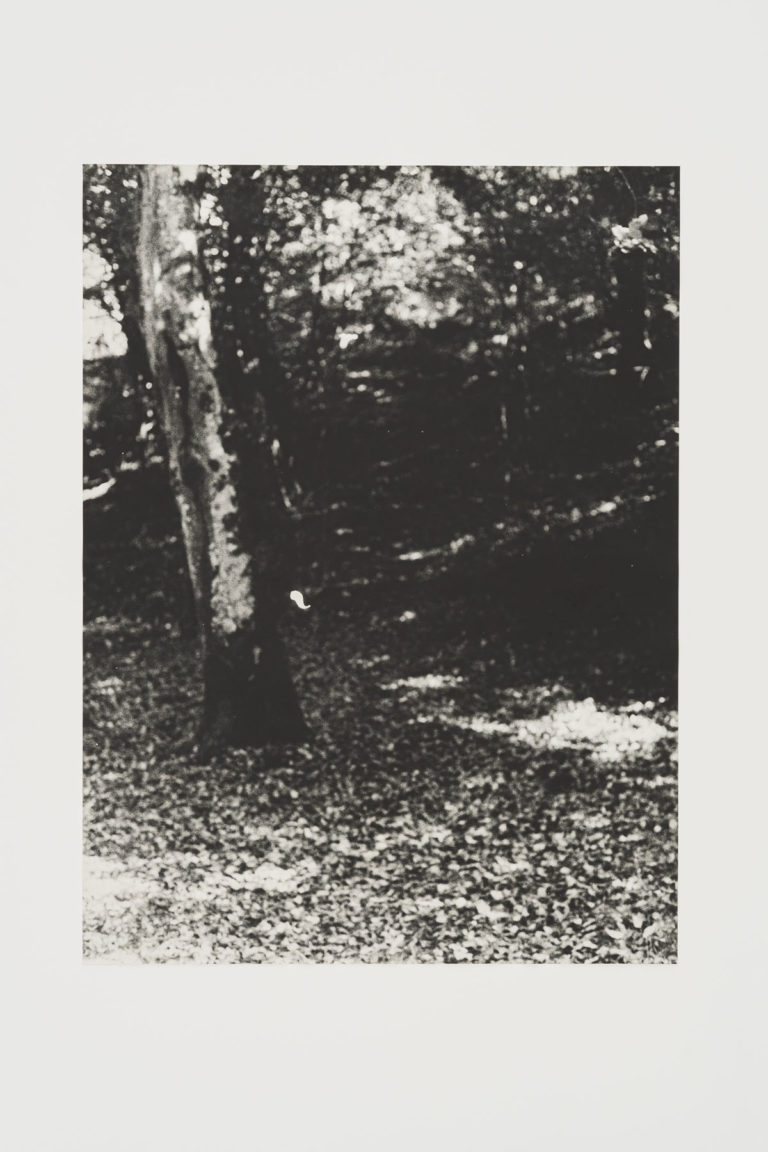 Jochen Lempert at Contemporary Art Centre – Art Viewer