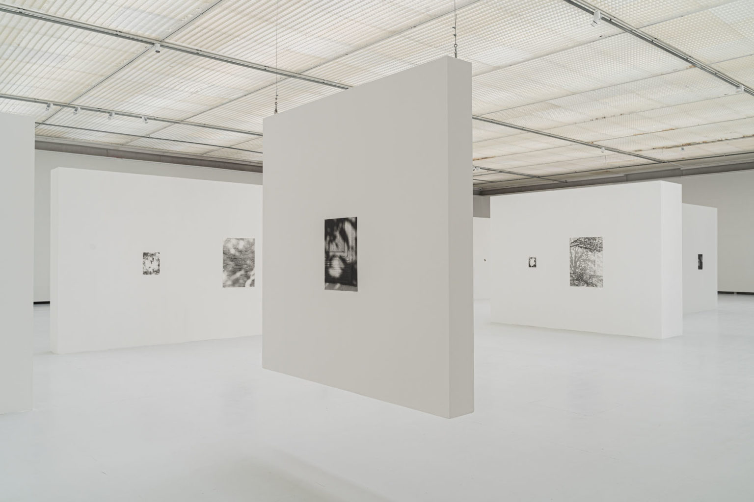 Jochen Lempert at Contemporary Art Centre – Art Viewer