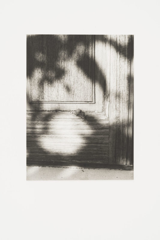 Jochen Lempert at Contemporary Art Centre – Art Viewer