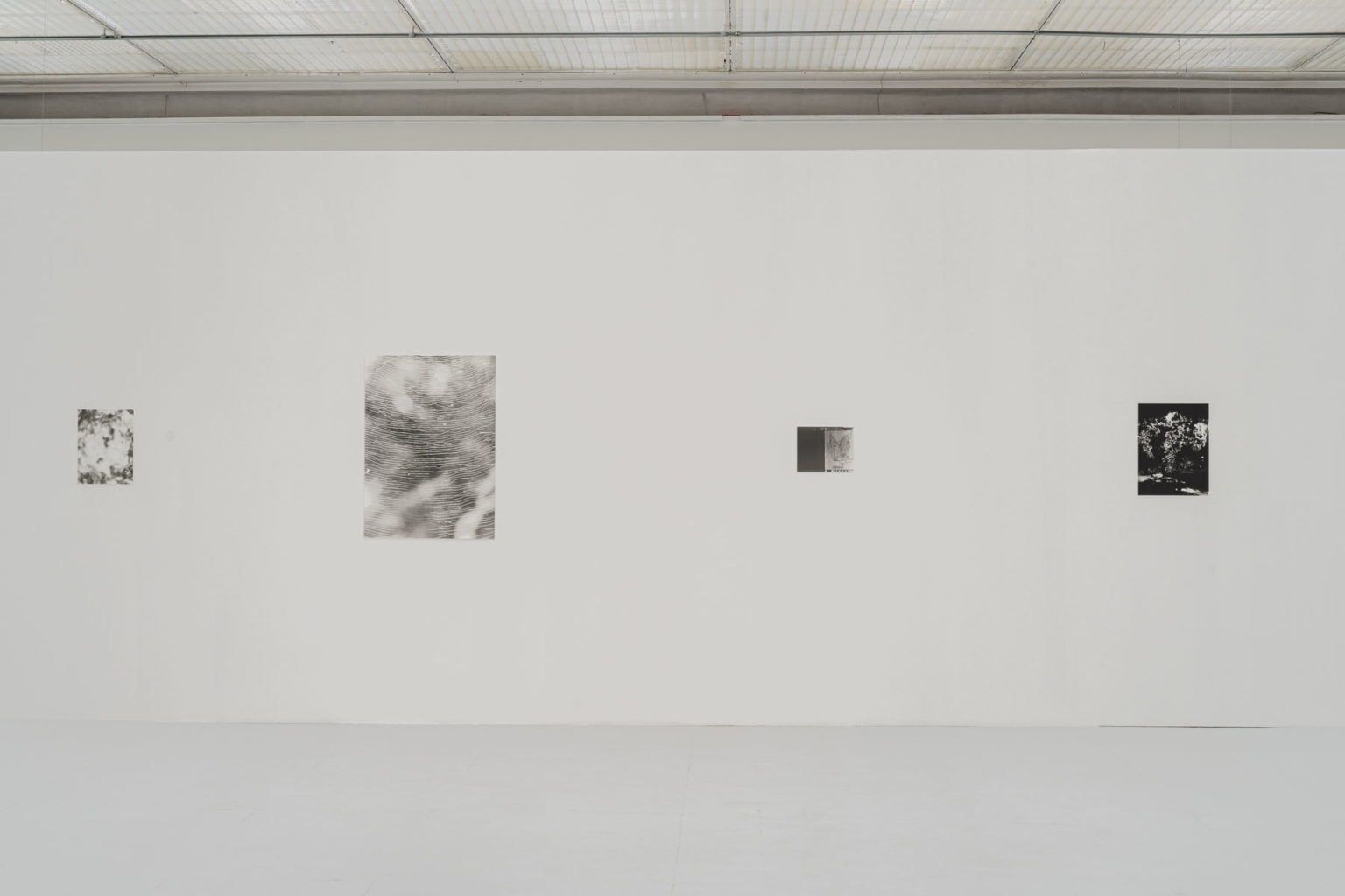 Jochen Lempert at Contemporary Art Centre – Art Viewer