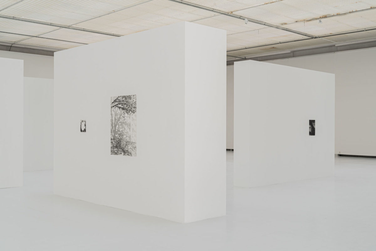 Jochen Lempert at Contemporary Art Centre – Art Viewer