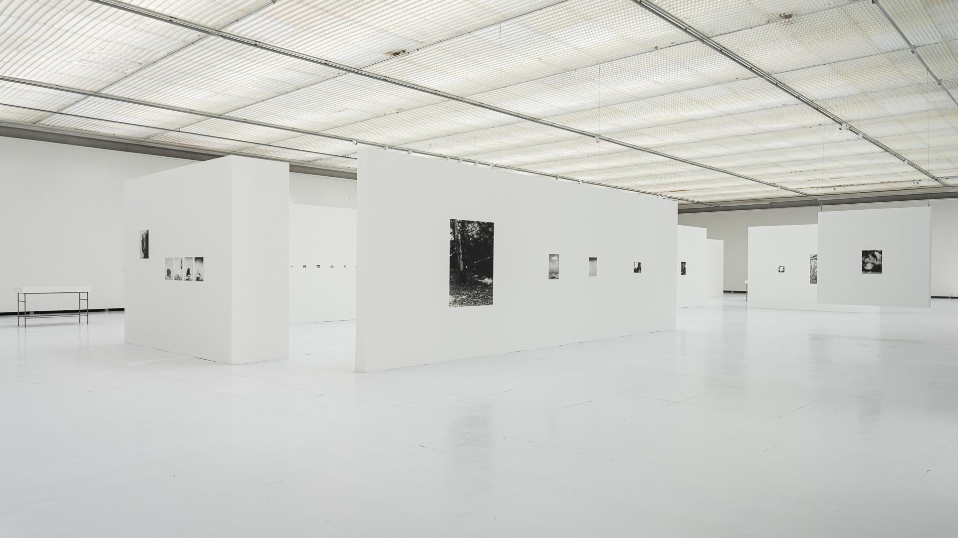Jochen Lempert at Contemporary Art Centre – Art Viewer